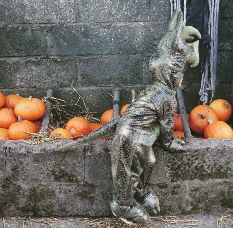 Spooky Hollow at Redhills Kildare - Halloween events Kildare